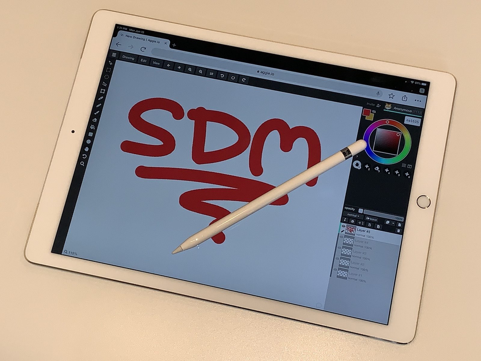 Digital Art - Elementary and Middle School - SDM Foundation